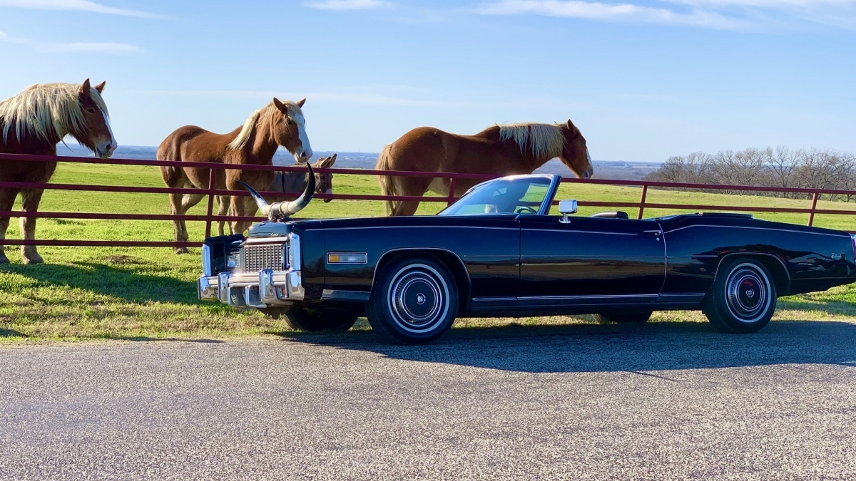 Classic Car Rental Dallas TX With DRIVESHARE